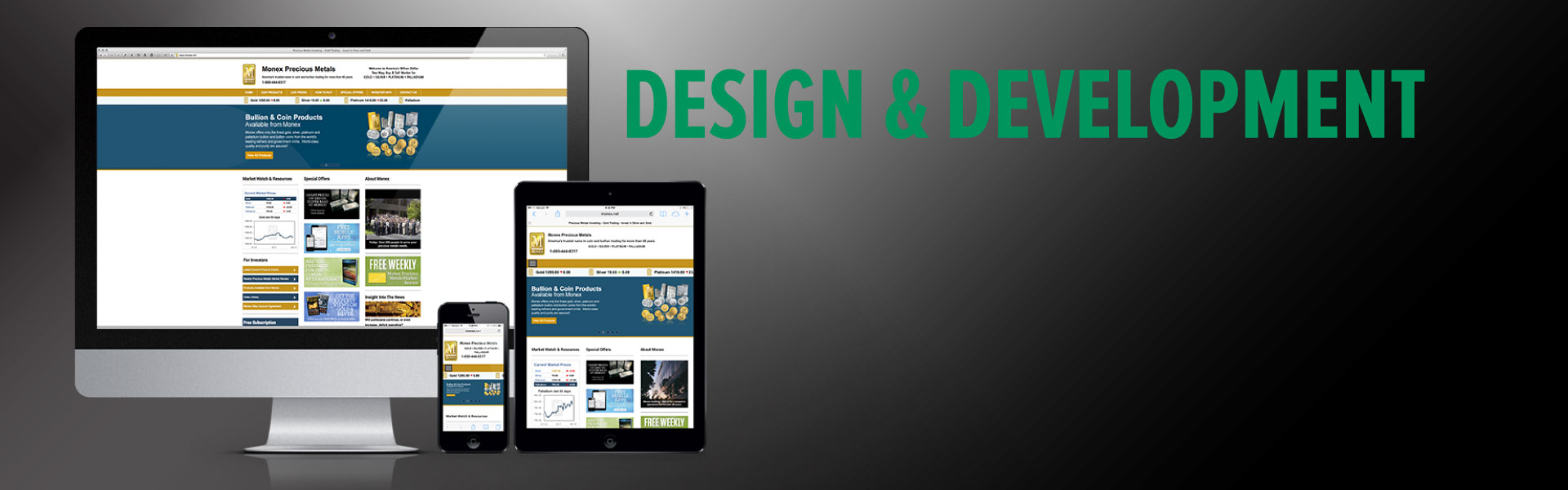 Website Design and Development Solutions | Silverback